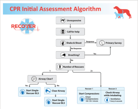 Clinical Resources - Vetanswers